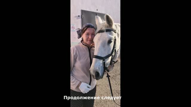 Верховая езда