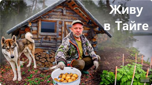 Охота и рыбалка