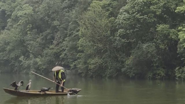 🇨🇳 Китай: горы, панды и древние города