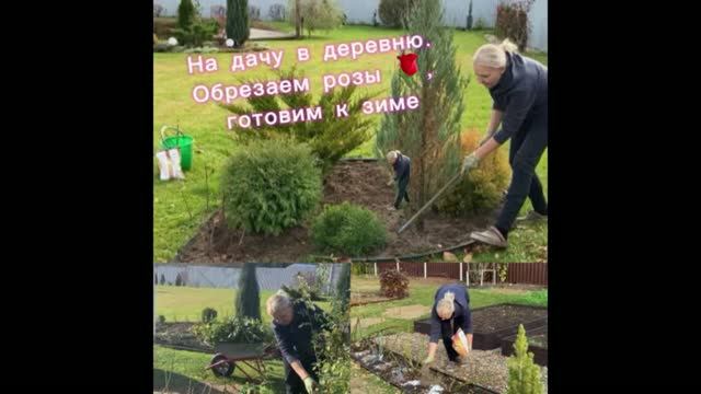 В деревню на дачу 2026