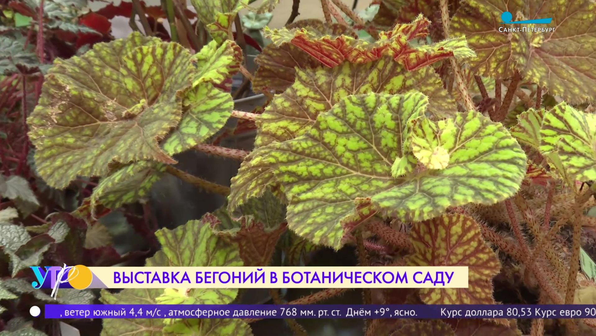 Ботанический сад