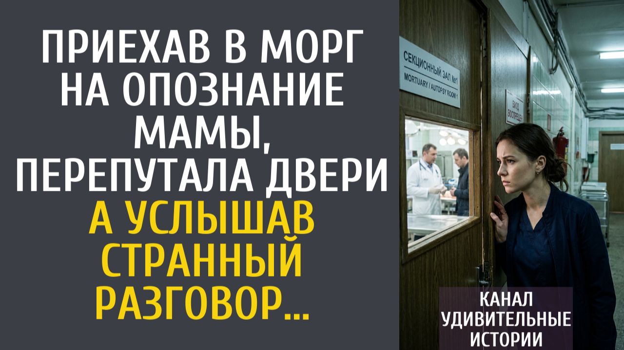 Удивительные истории