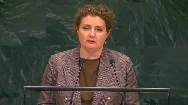 Россия в ООН новости