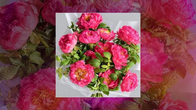 Новинки