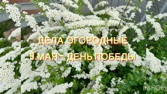 Садово - огородный уголок