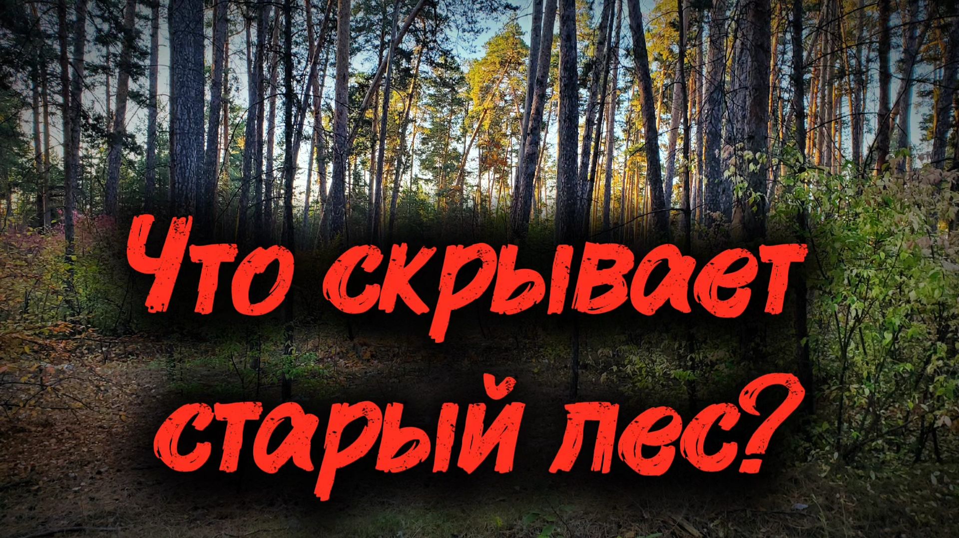 Приборный поиск