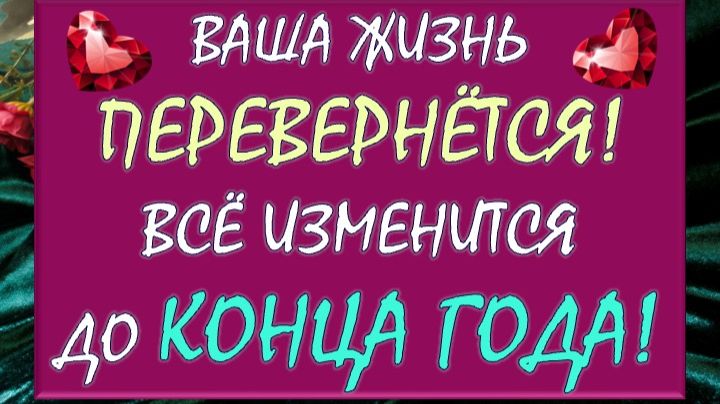 ОБЩИЕ РАСКЛАДЫ, ПРОГНОЗЫ.