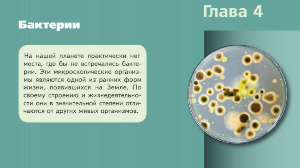 Биология 7 класс под ред. В.В. Пасечника
