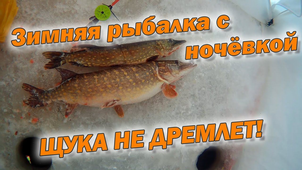 ЩУКА НЕ ДРЕМЛЕТ! Зимняя рыбалка с ночёвкой