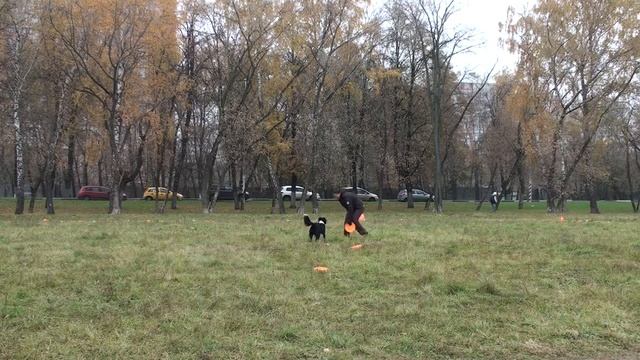 Ф.Фристайл Татьяна и Пуля.mp4