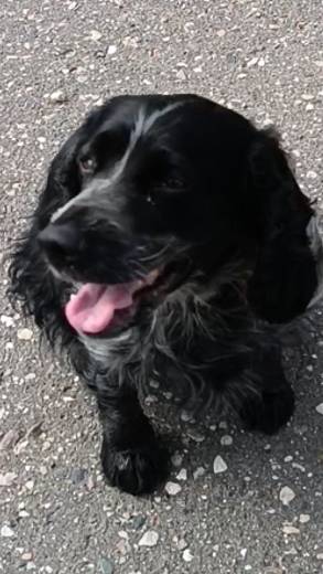 подойди сядь