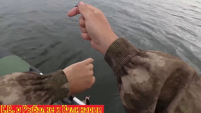 ПОЙМАЛ КУРУПНУЮ СОРОЖКУ НА УДОЧКУ, КОЕ-КАК ВЫТАЩИЛ.