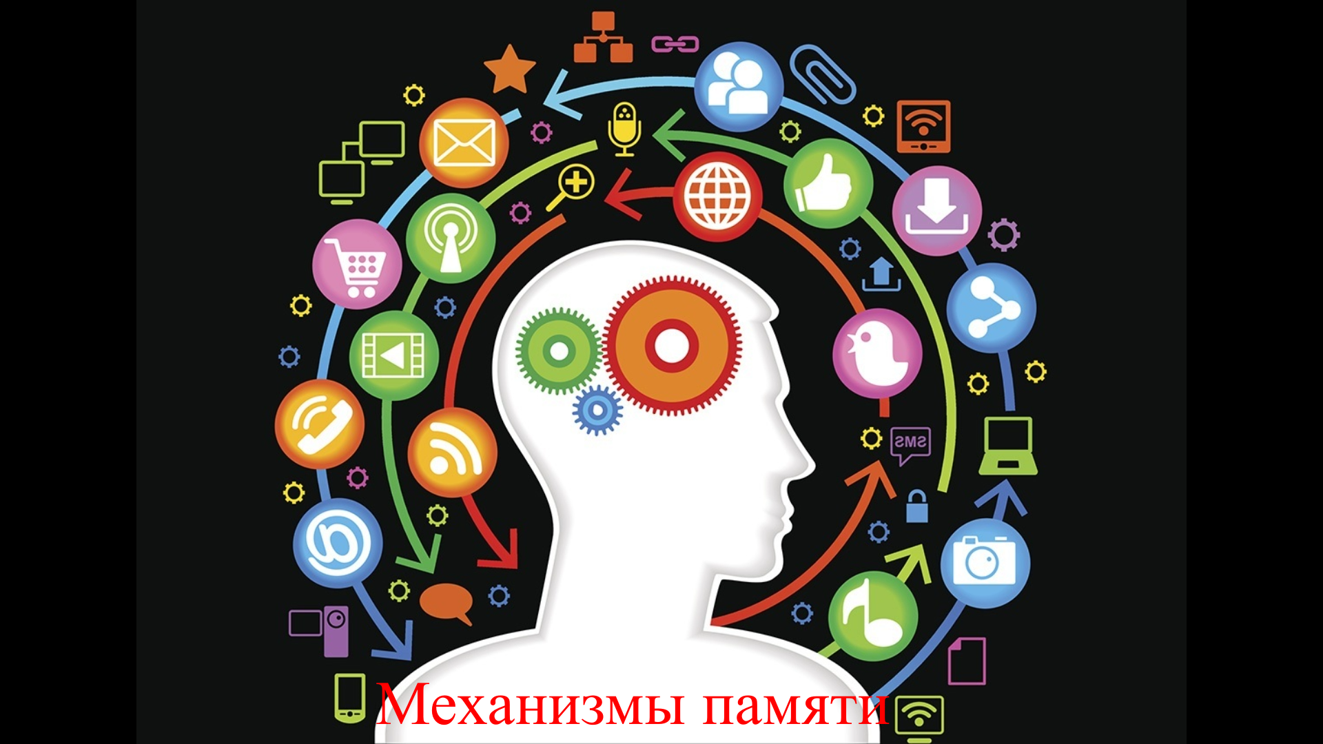 Механизмы памяти. Часть 2. Когда кратко помним многое и почему долго помним немногое.