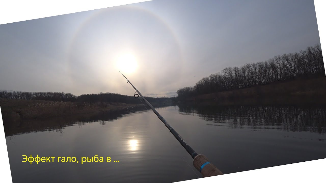 Забастовка ЩУКИ!!!