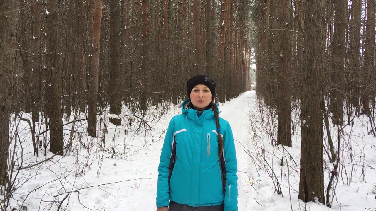 Чем заняться в новогодние каникулы? | Художник Наталья Боброва