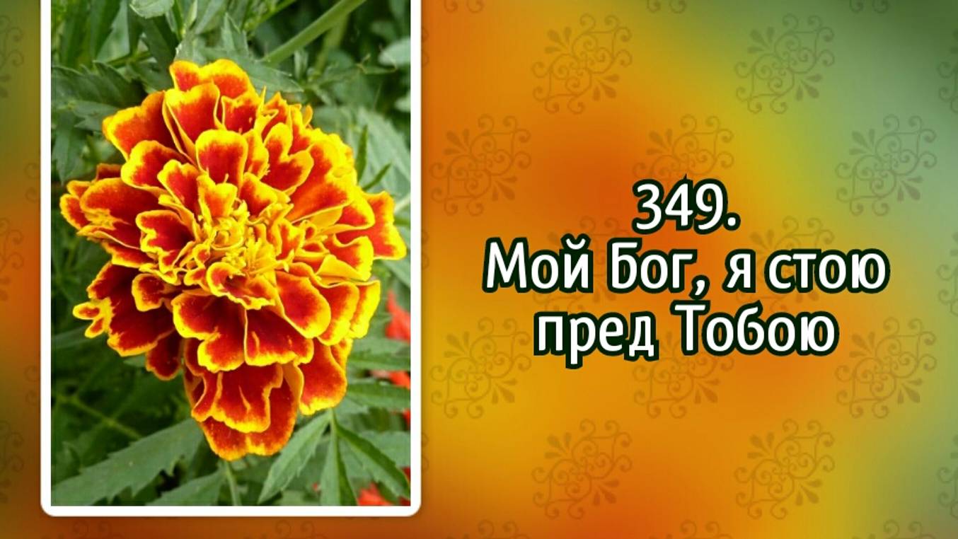 Гимны надежды 349 Мой Бог, я стою пред Тобою (-)