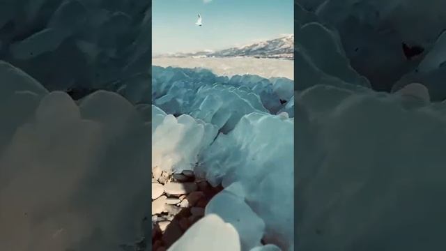 Лед в Геленджикской бухте