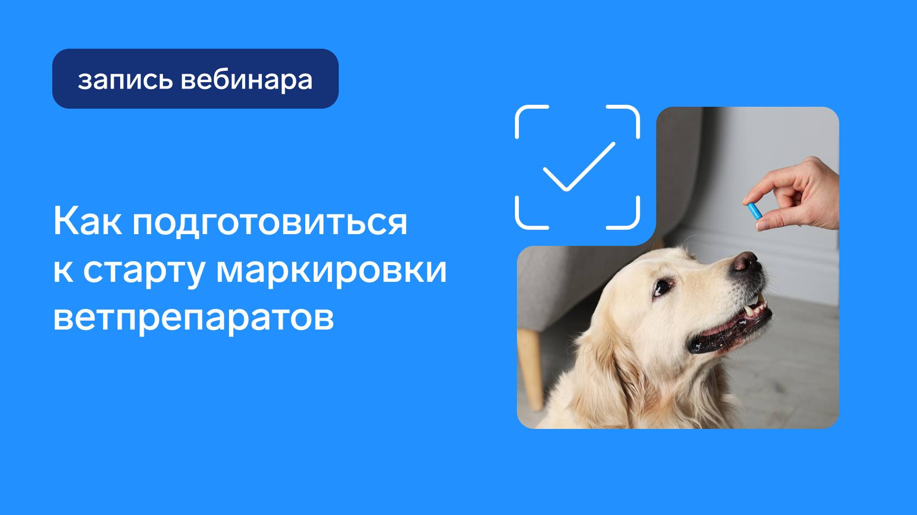 Как подготовиться к старту маркировки ветпрепаратов