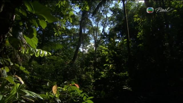 Как устроена природа 1 серия (документальный сериал, 2012)