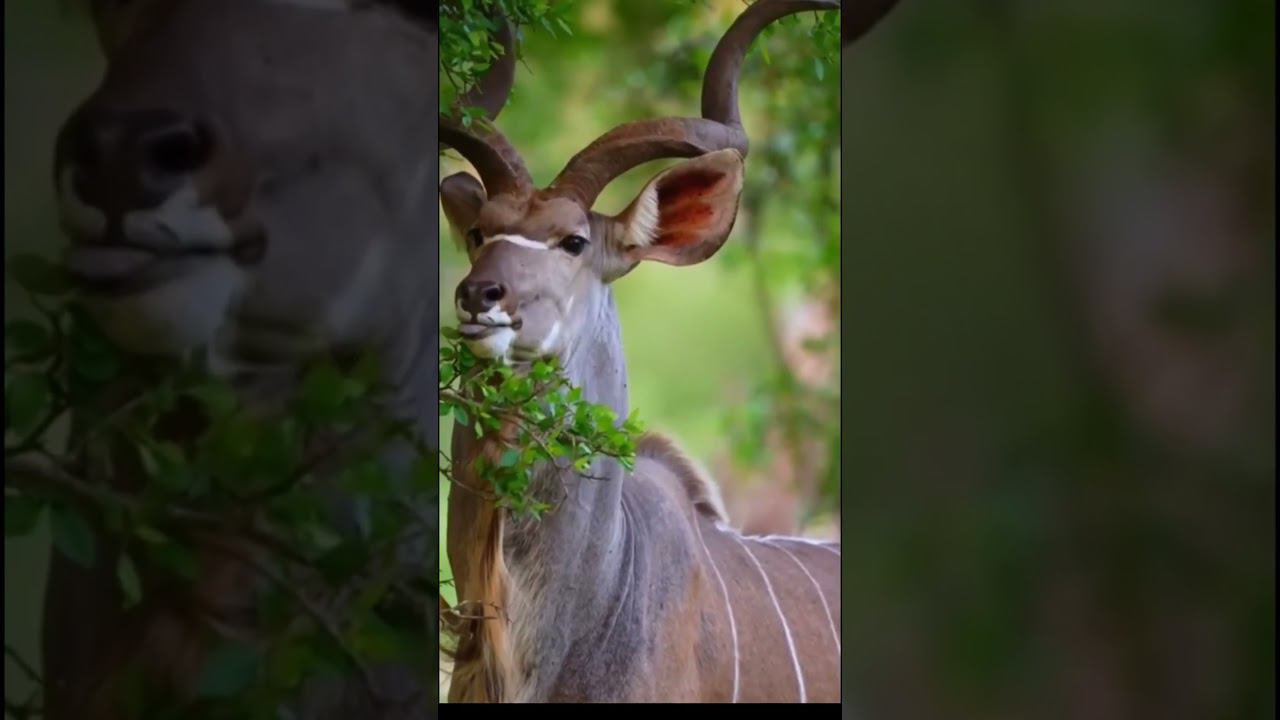 28 октября 2023 г.