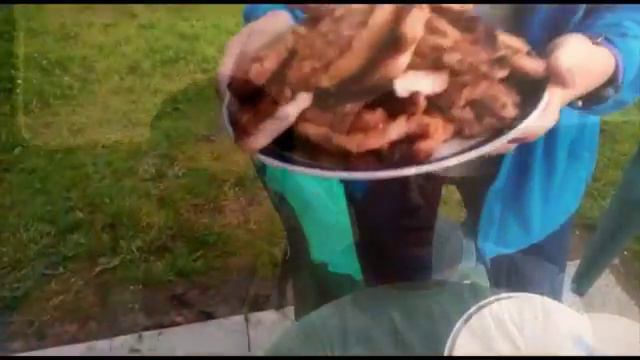 NWK17- Асонсэ (отпуск с командой FizioCentr)