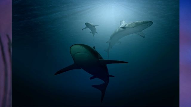 §26 "Жизнь в морях и океанах", Биология 5 класс, Сивоглазов, Плешаков.mp4