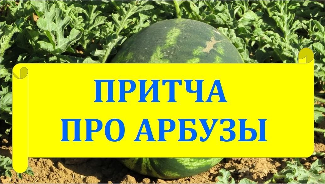 История про арбузы. 3 подкаст. Истории древнего Китая
