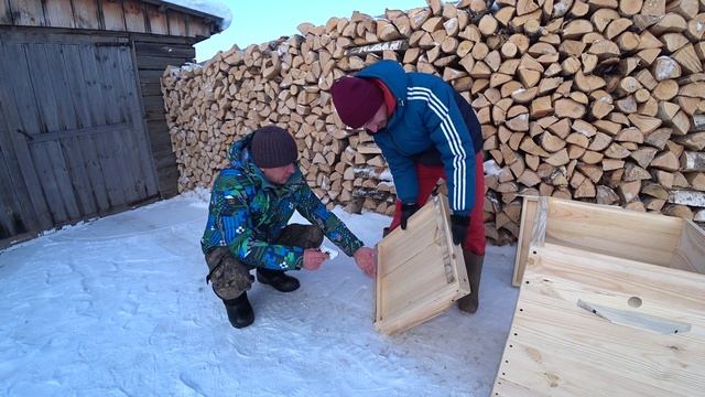 Прислали новый улей для пчёл