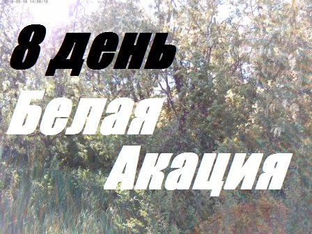 Одна беда не приходит, но опыт не пропьёшь.