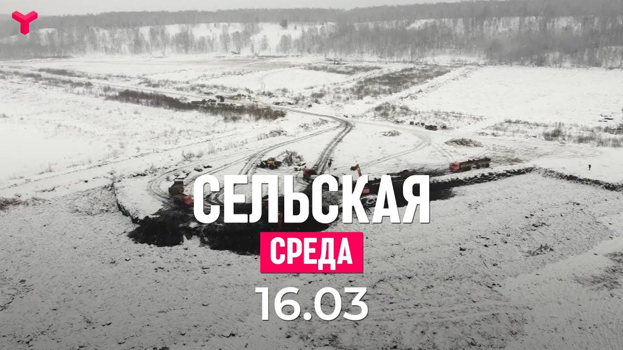 Сельская среда 16.03.2022