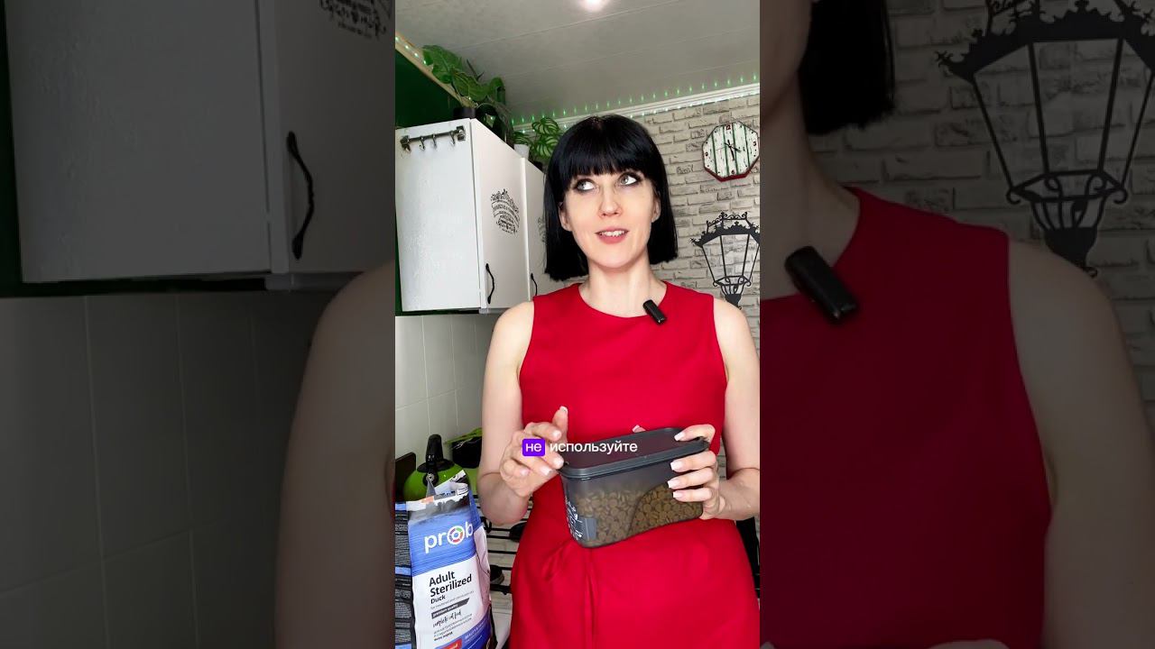 Как избежать ошибок при хранении сухого корма #shorts  #хранениекорма