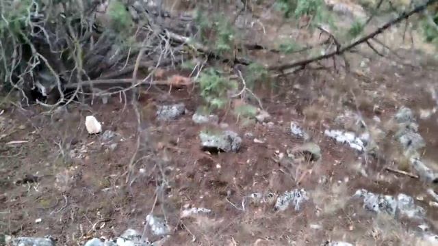 Дольмены на горе Кошка в Симеизе