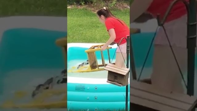 Битва с белкой ?