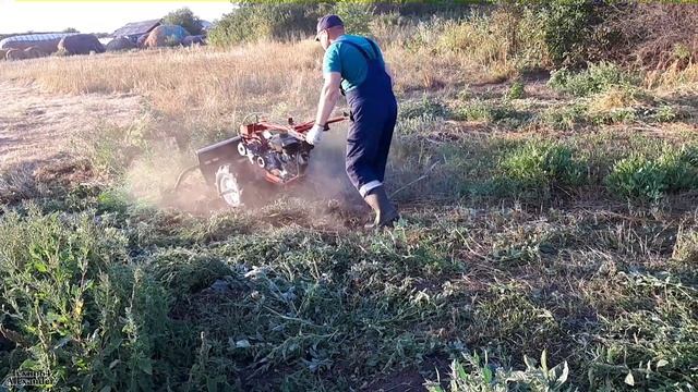 Обкашиваю края картофельного поля роторной косилкой на мотоблоке Фаворит!