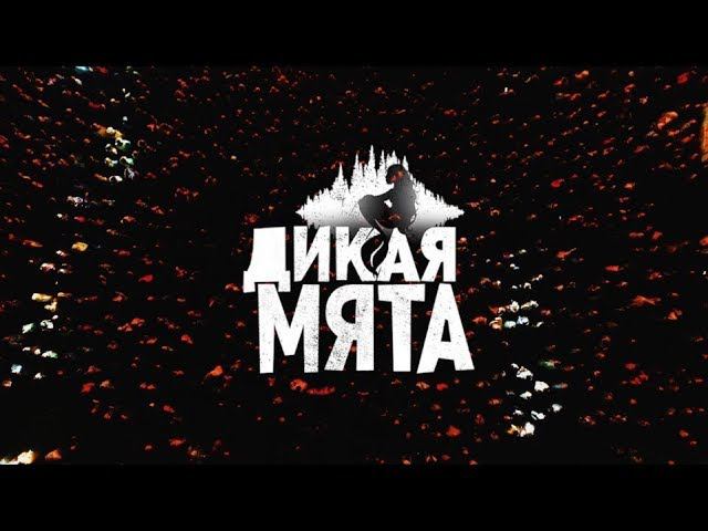 Дикая Мята 2019 – День второй