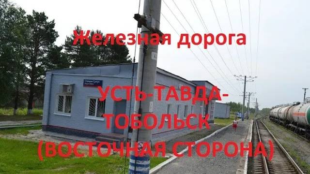 Железная дорога Усть-Тавда - Сузгун - Тобольск (вид из окна поезда, восточная сторона) (СВЖД)