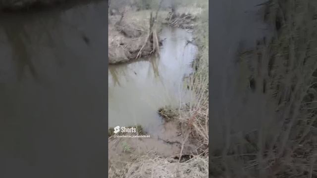 Микро речка ловля Ельца на поплавочную удочку