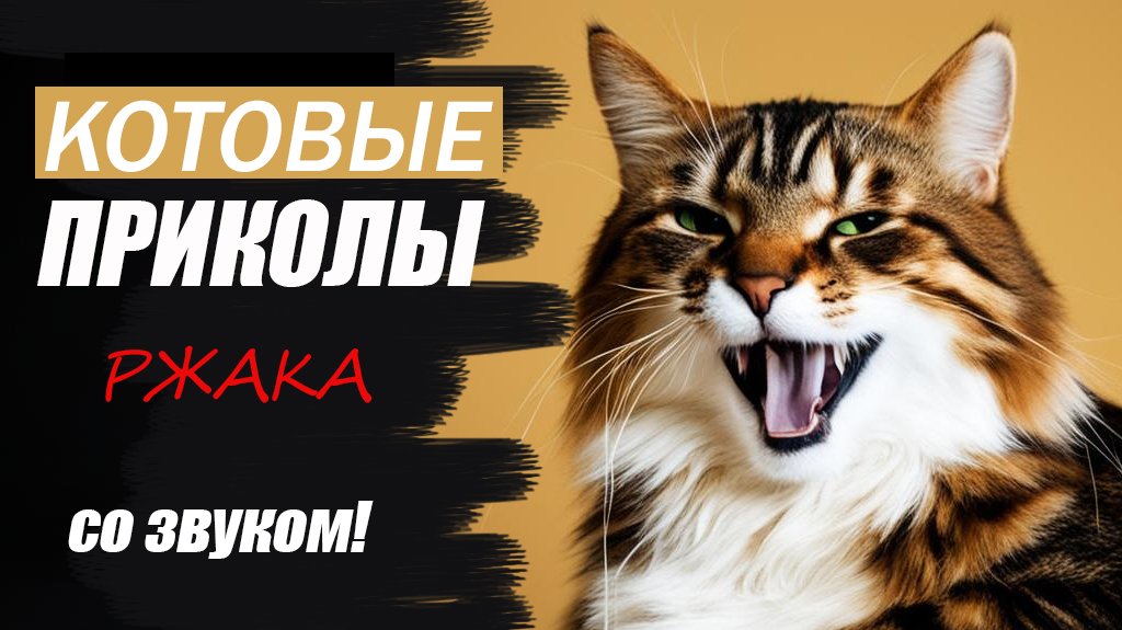 Попробуй не рассмеяться! Самые ржачные коты здесь!