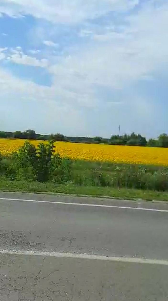 Гуляем в деревне  июль 2022