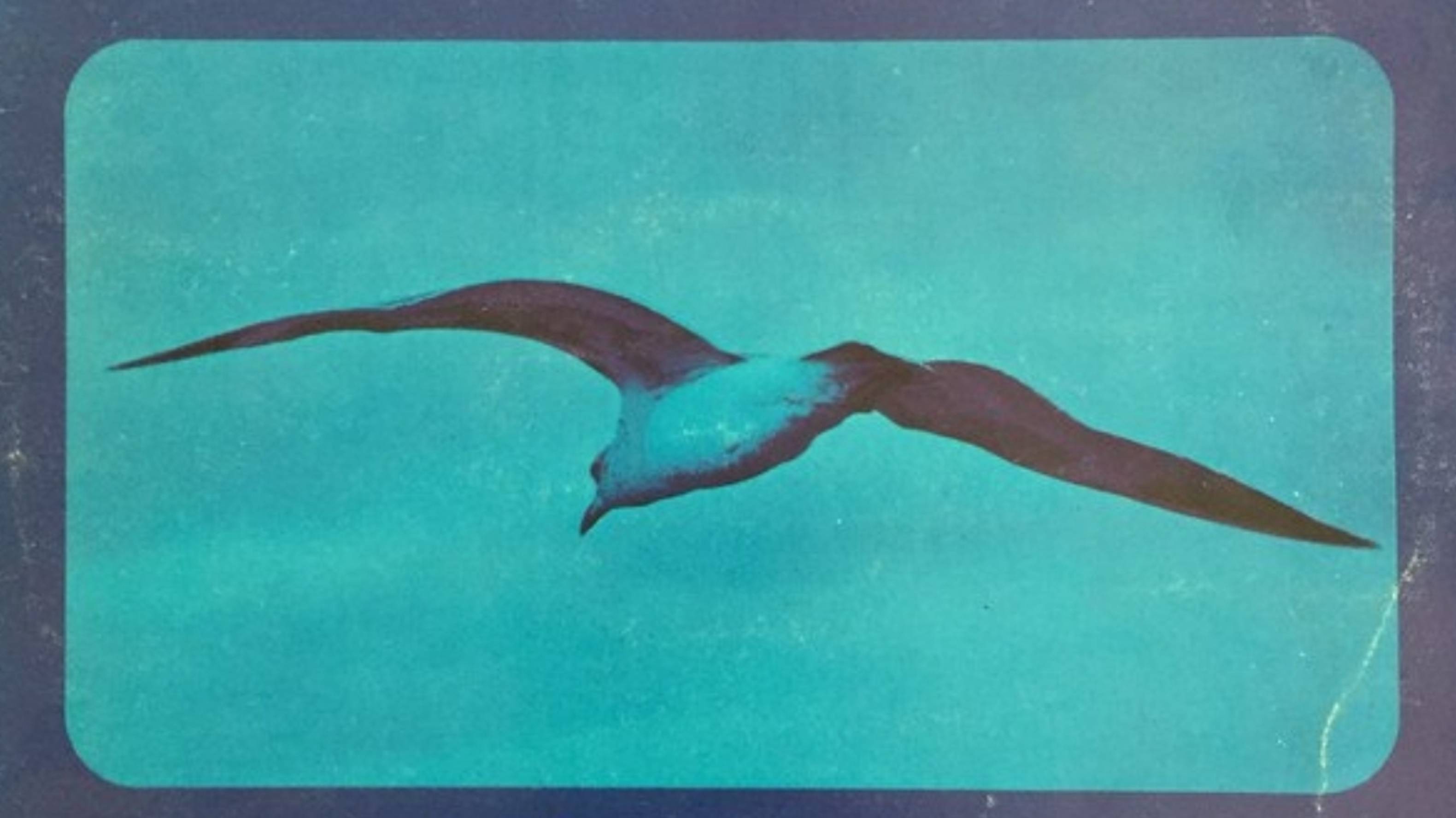 Albatros. Volo az 504 (instrumental)