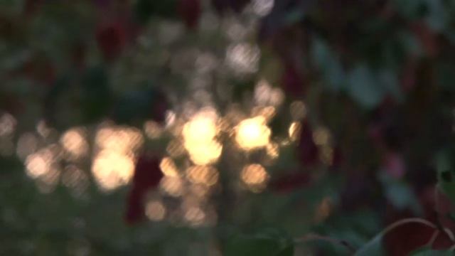 Ой, Днепро, Днепро..