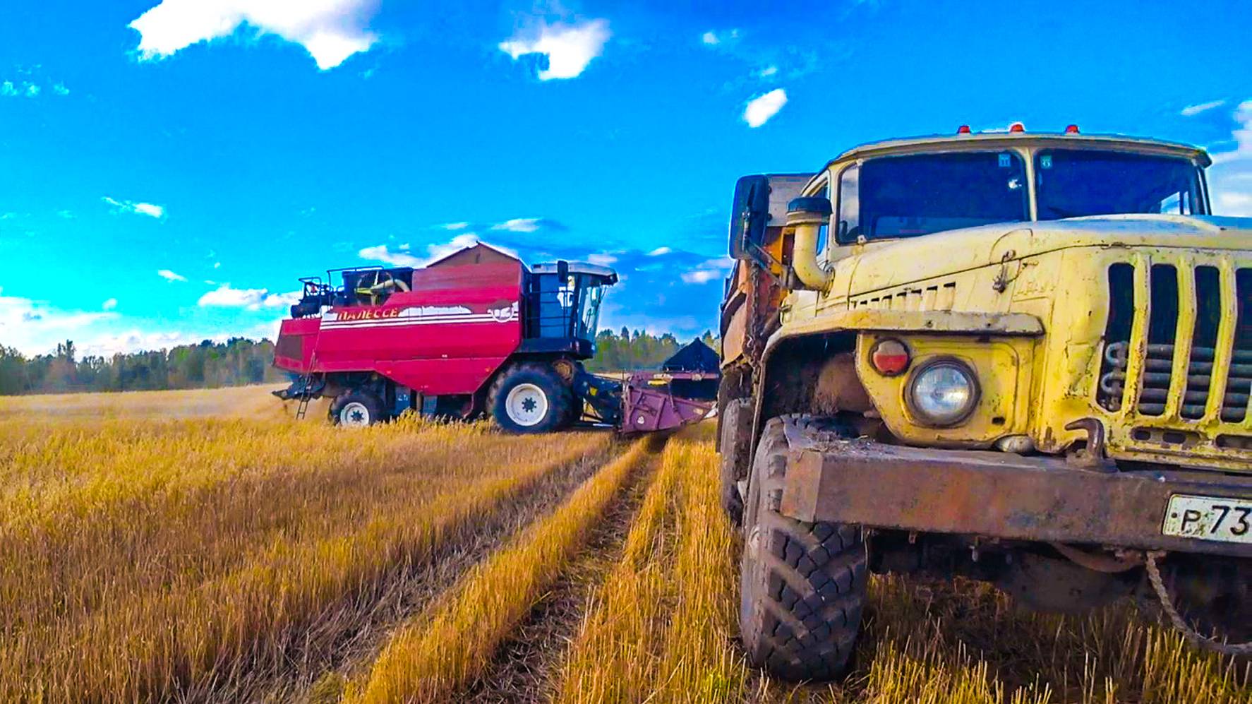 Уборочная 2022 Убираем Ячмень Второй День Вожу Зерно На Урале, Дорога опять Грязная.
