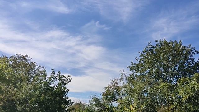 Ярко голубое небо.mp4