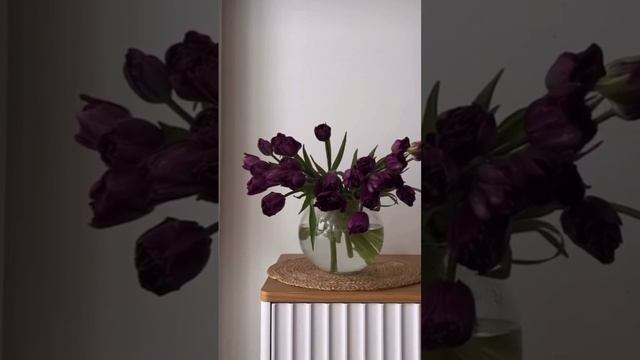 Весна Uliana music