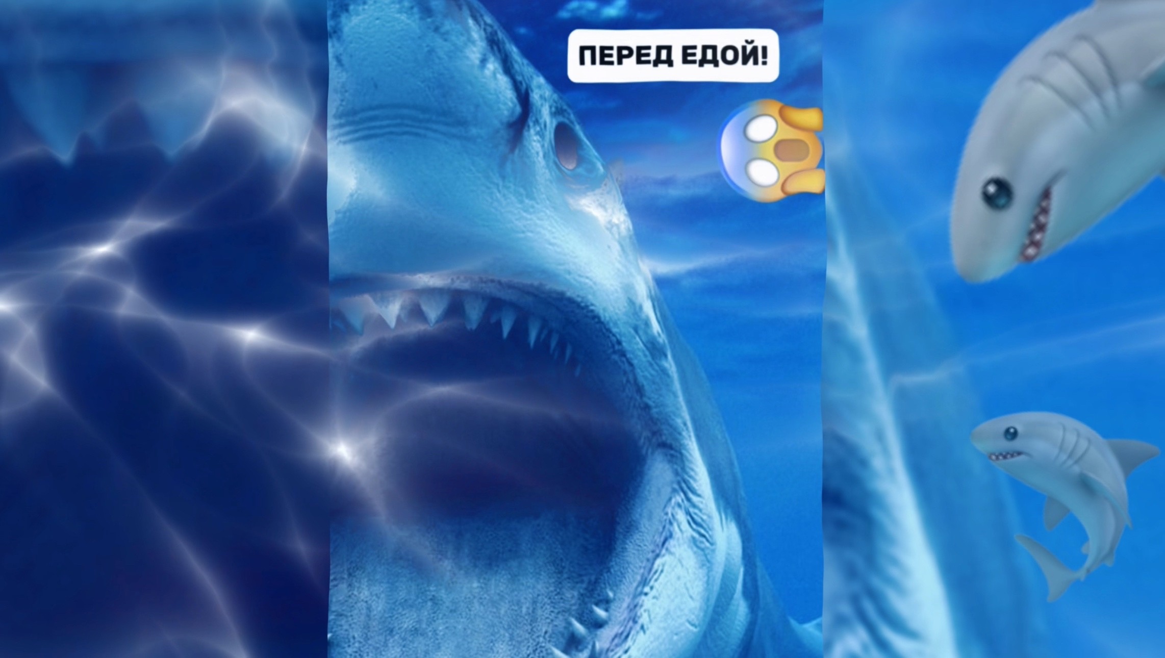 Любите морские приключения?