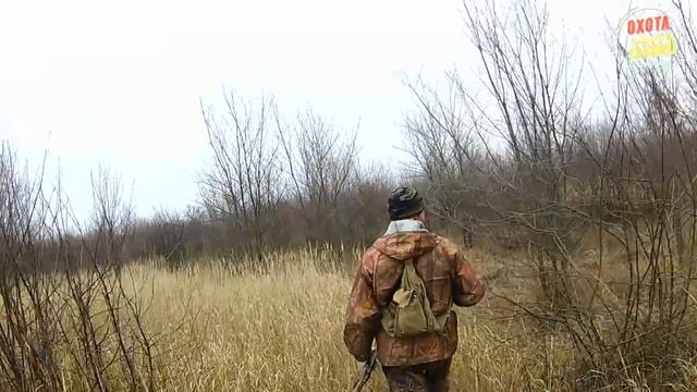 ВЗЯЛИ НОРМУ ЗА 1,5 ЧАСА.(ОХОТА НА ЗАЙЦА) СЕЗОН 2017 -2018.mp4
