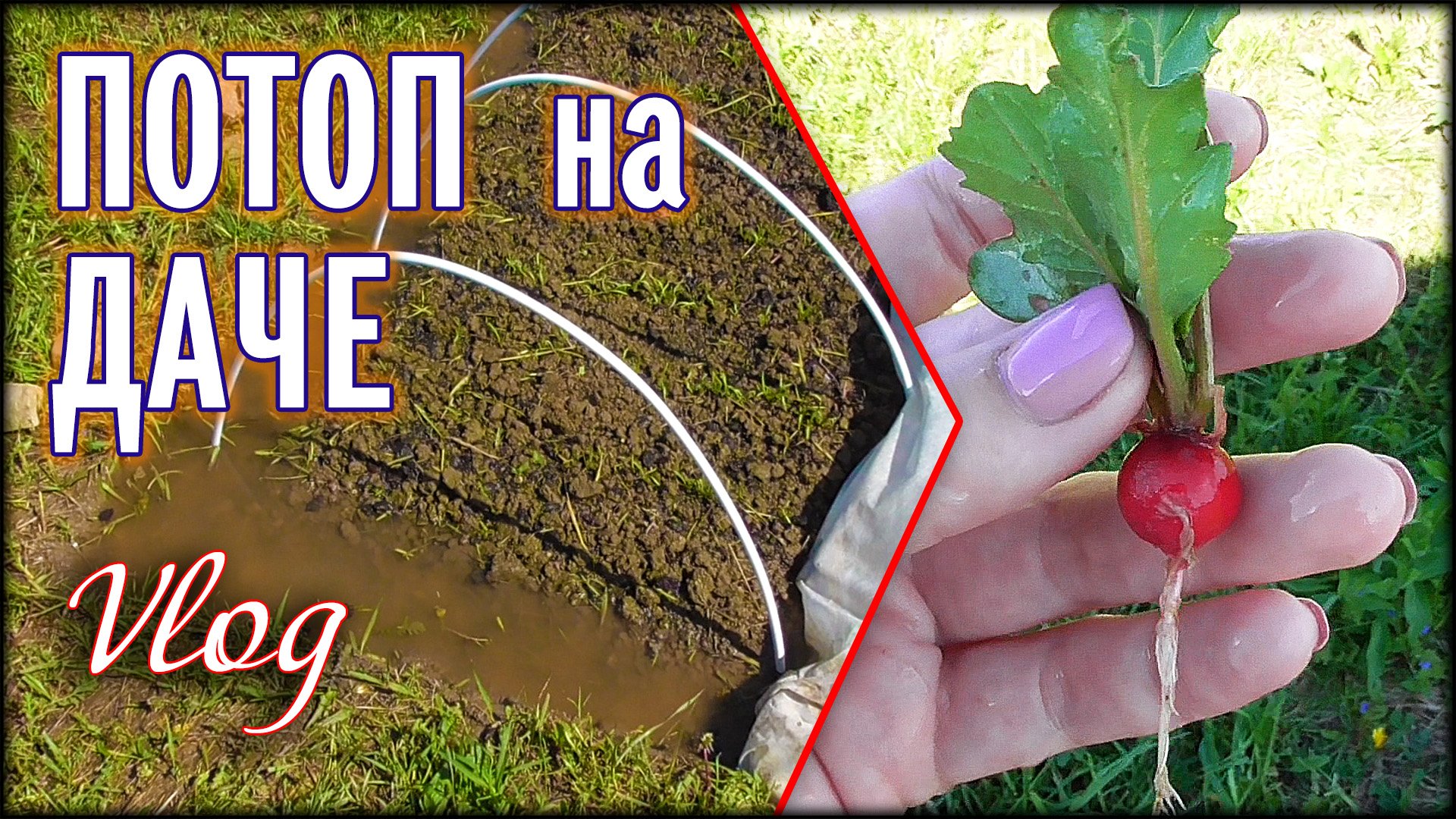 Потоп на даче и еще немного о нашем огороде/ влог