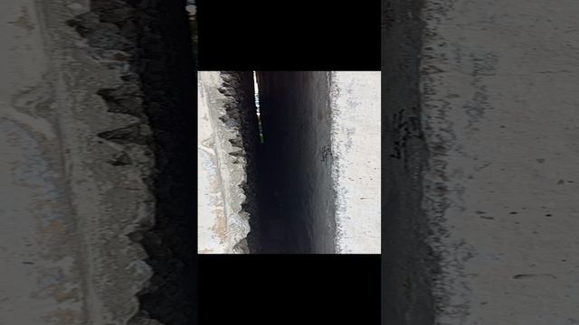 Грибной переулок