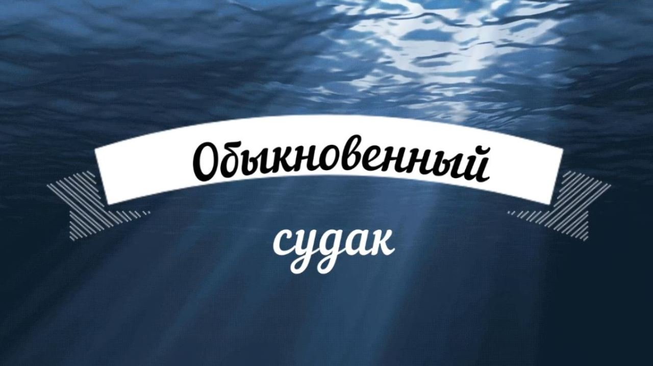 Белозерский музей онлайн/«Говорящие фонды» Фильм 12. «Обыкновенный судак».
