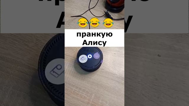 Пранкую Алису? лучшие приколы 2022 / яндекс Алиса жгёт